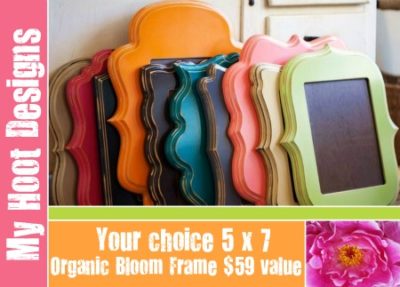 My-hoot-Design-collage - Kendra John Designs